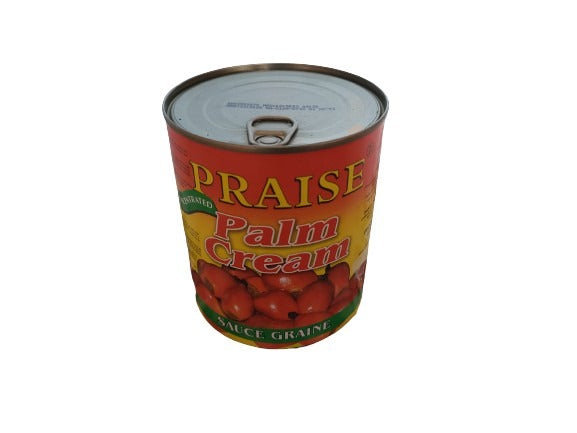 Praise Palm Cream 800g